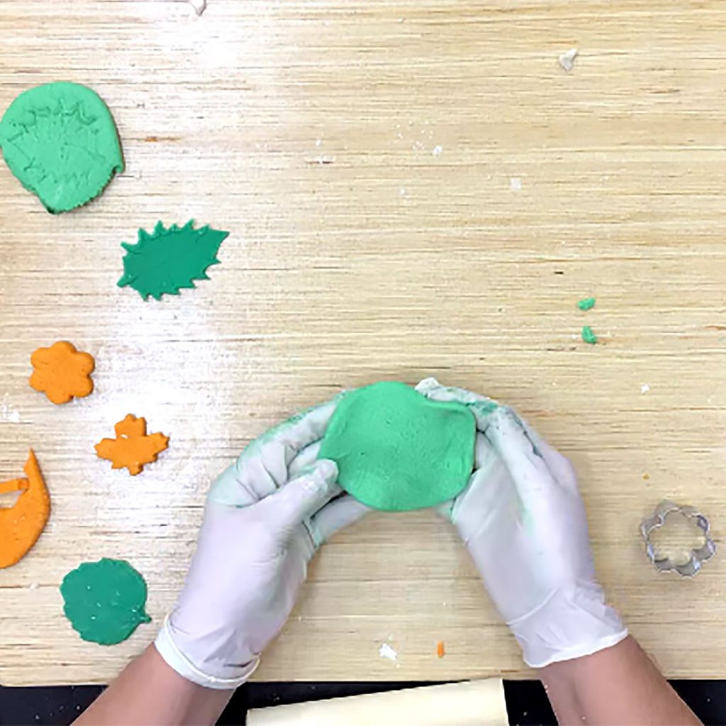 Dough Projects | Appleton Museum of Art / College of Central Florida