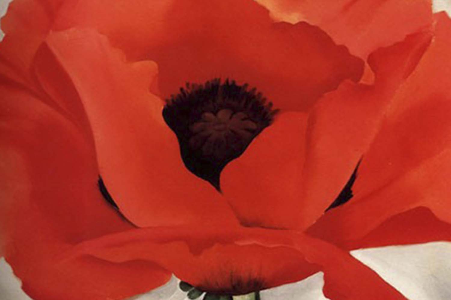 Art 101 Workshops | Appleton Museum of Art / College of Central Florida