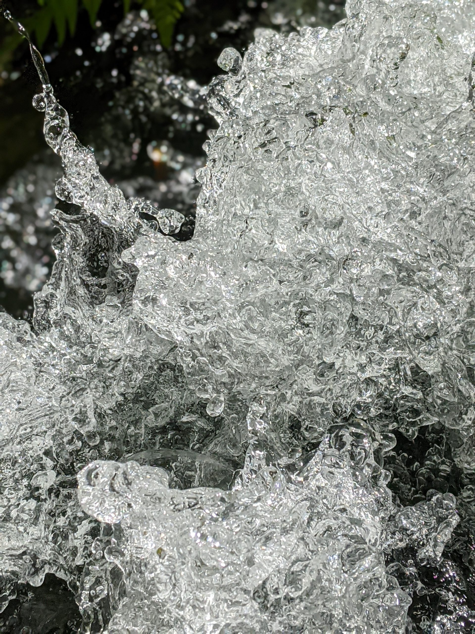 Mobile Photography Contest & Exhibition - 2022 Winners | Appleton ...