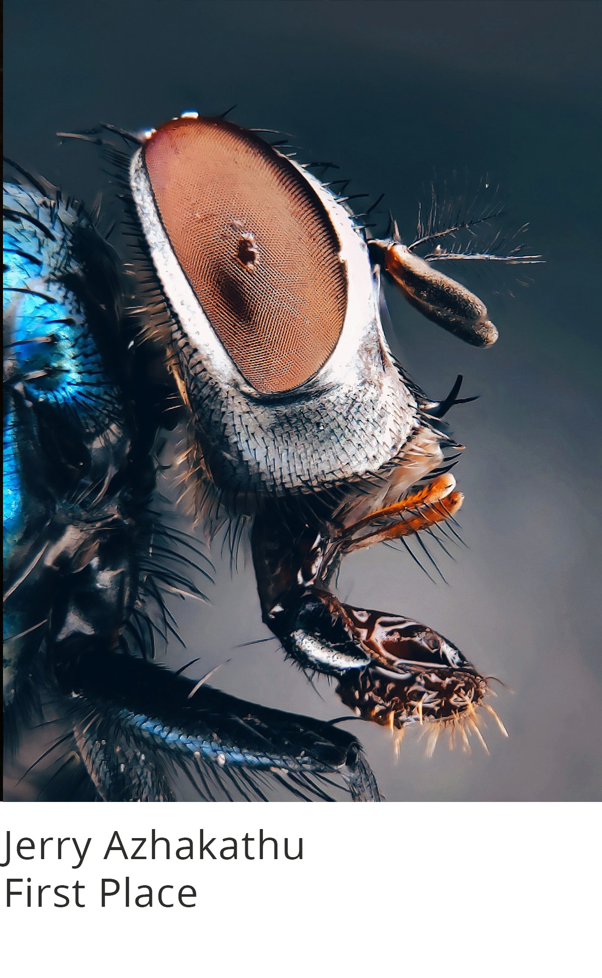 Mobile Photography Contest & Exhibition - 2022 Winners | Appleton ...