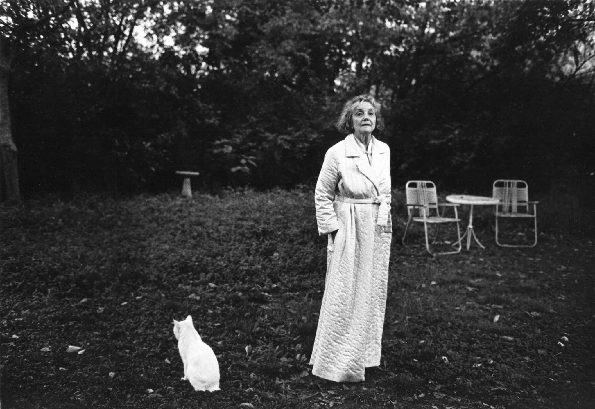 Focus on the Essence | Appleton Museum of Art / College of Central Florida