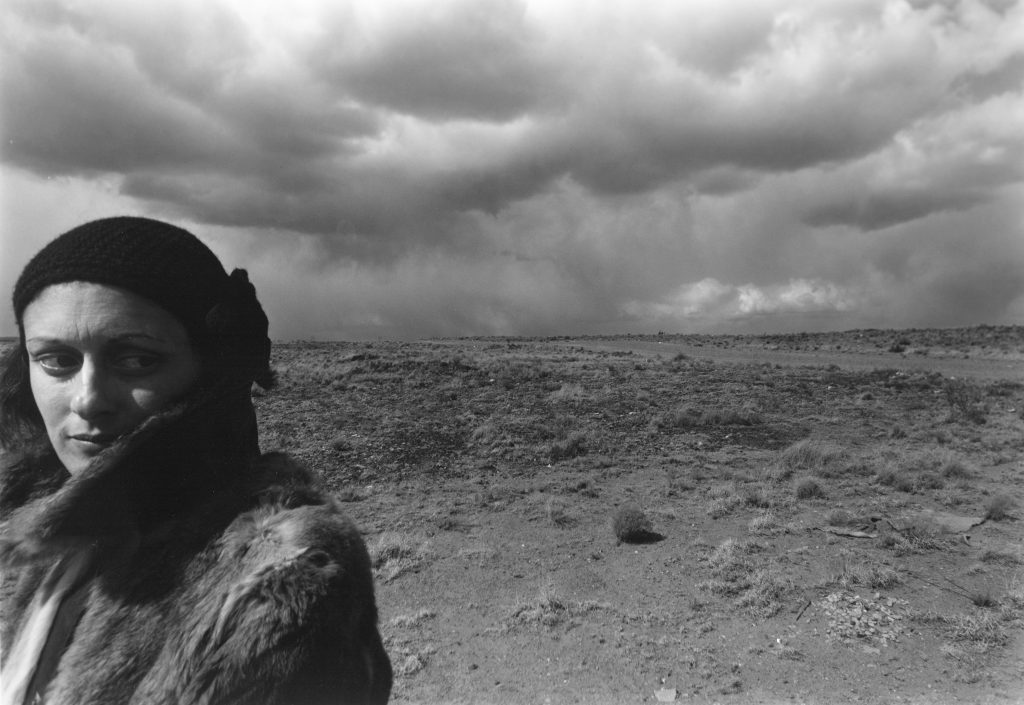 Focus on the Essence | Appleton Museum of Art / College of Central Florida