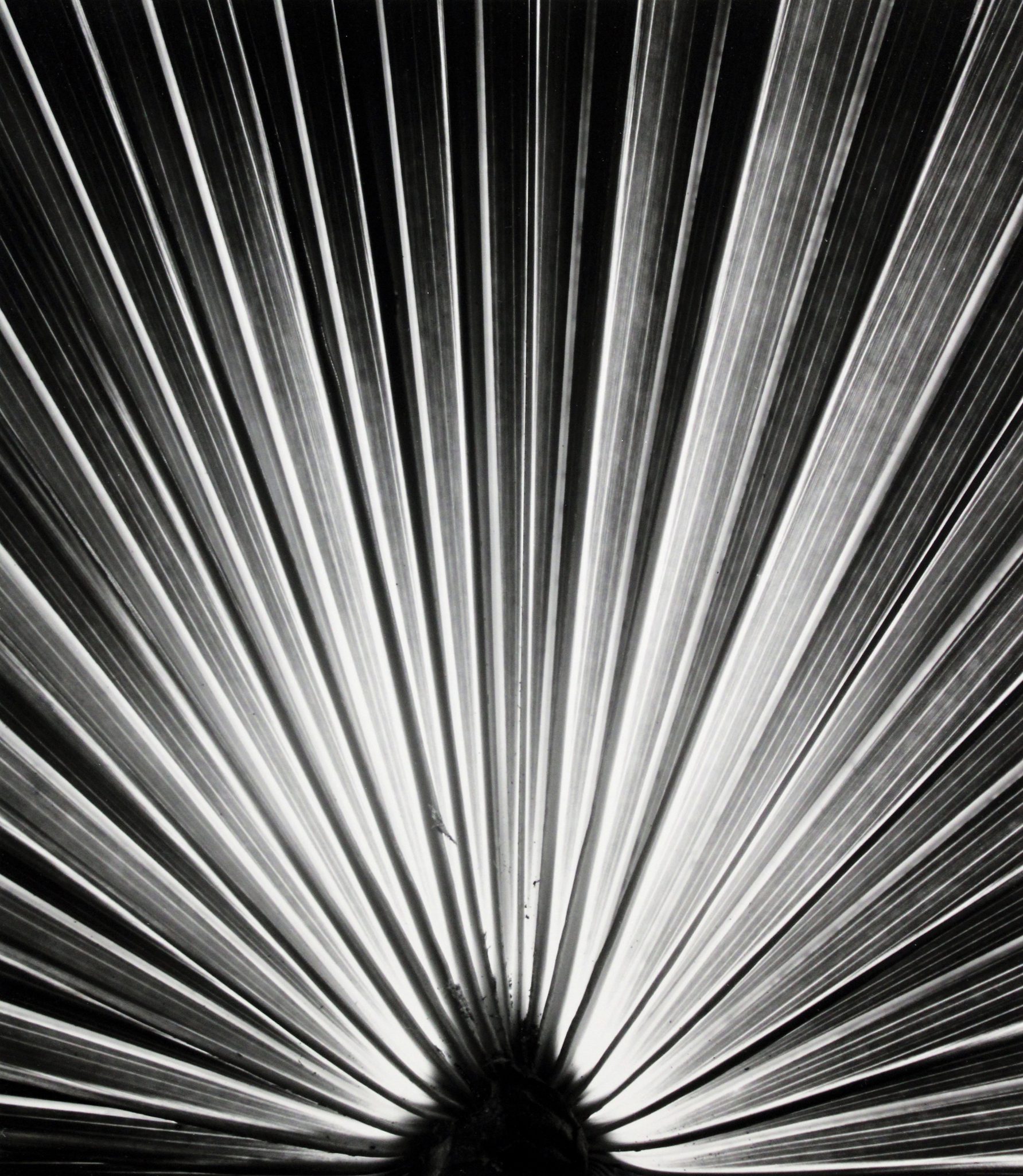 Current Exhibitions | Appleton Museum of Art / College of Central Florida