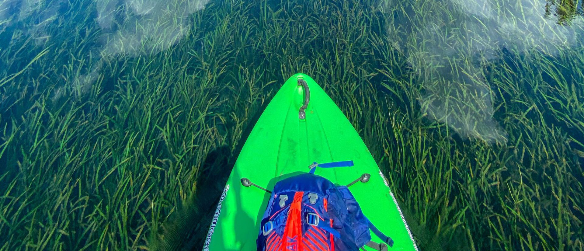 2023 Mobile Photography Contest & Exhibition | Appleton Museum of Art ...