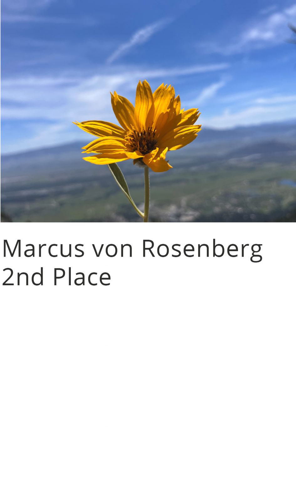 Mobile Photography Contest & Exhibition - 2023 Winners | Appleton ...