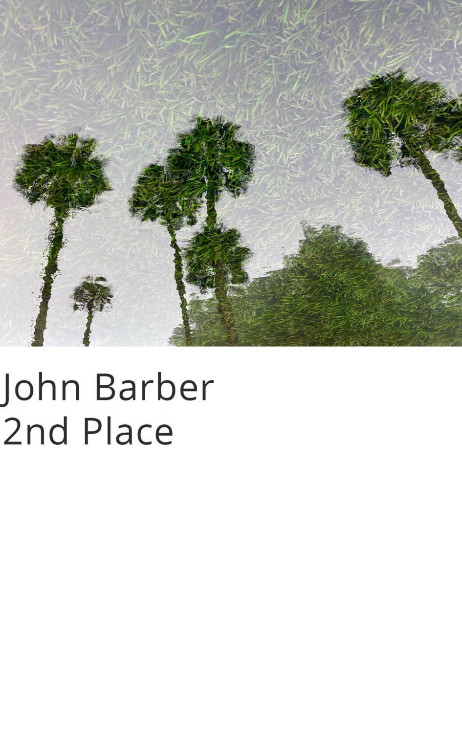 Mobile Photography Contest & Exhibition - 2023 Winners | Appleton ...