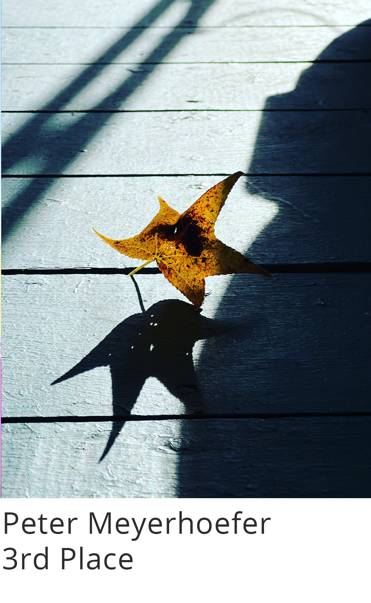 Mobile Photography Contest & Exhibition - 2023 Winners | Appleton ...