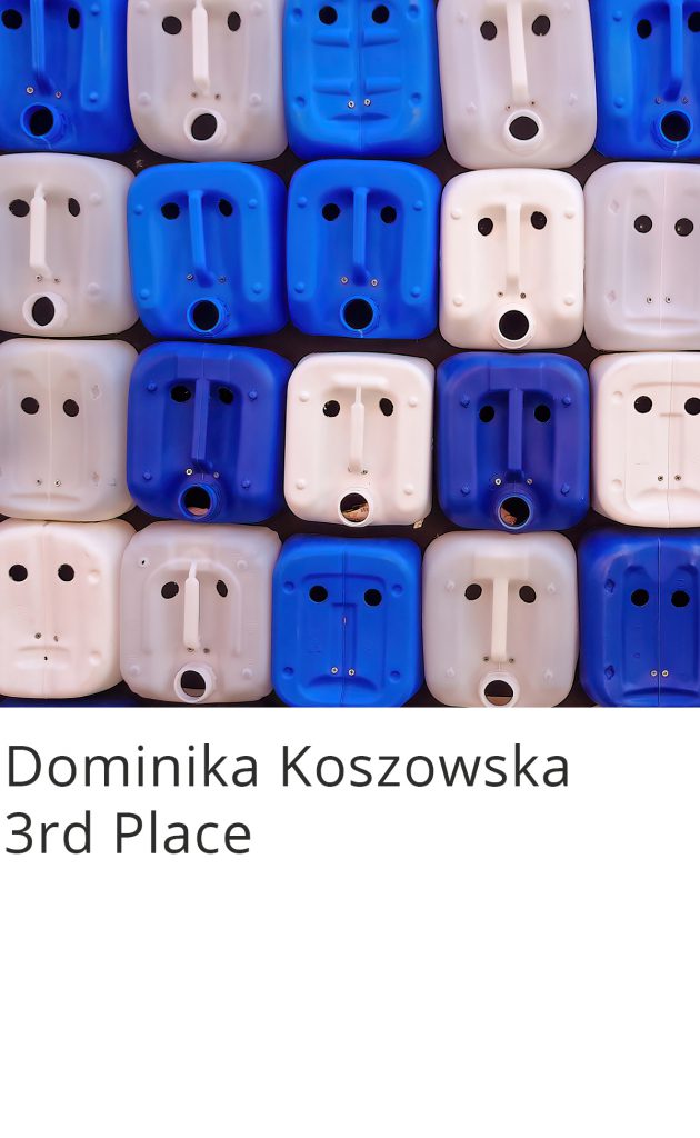 Mobile Photography Contest & Exhibition - 2023 Winners | Appleton ...