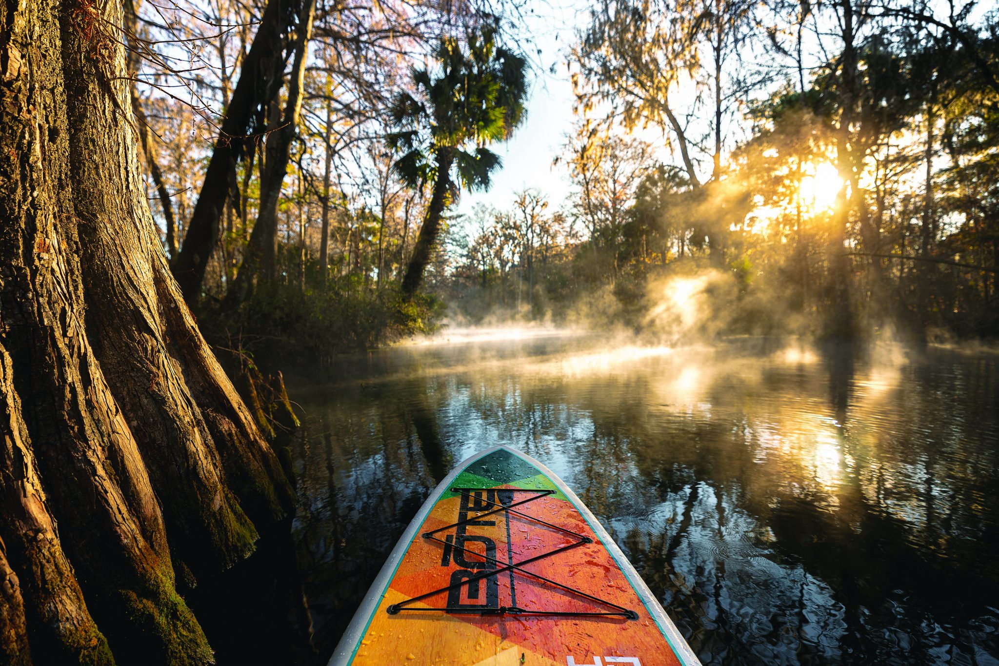 2024 Florida SpringsFest Photography Contest | Appleton Museum of Art ...