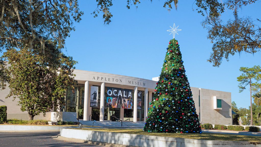 Events from November 11 – January 27, 2026 | Appleton Museum of Art ...